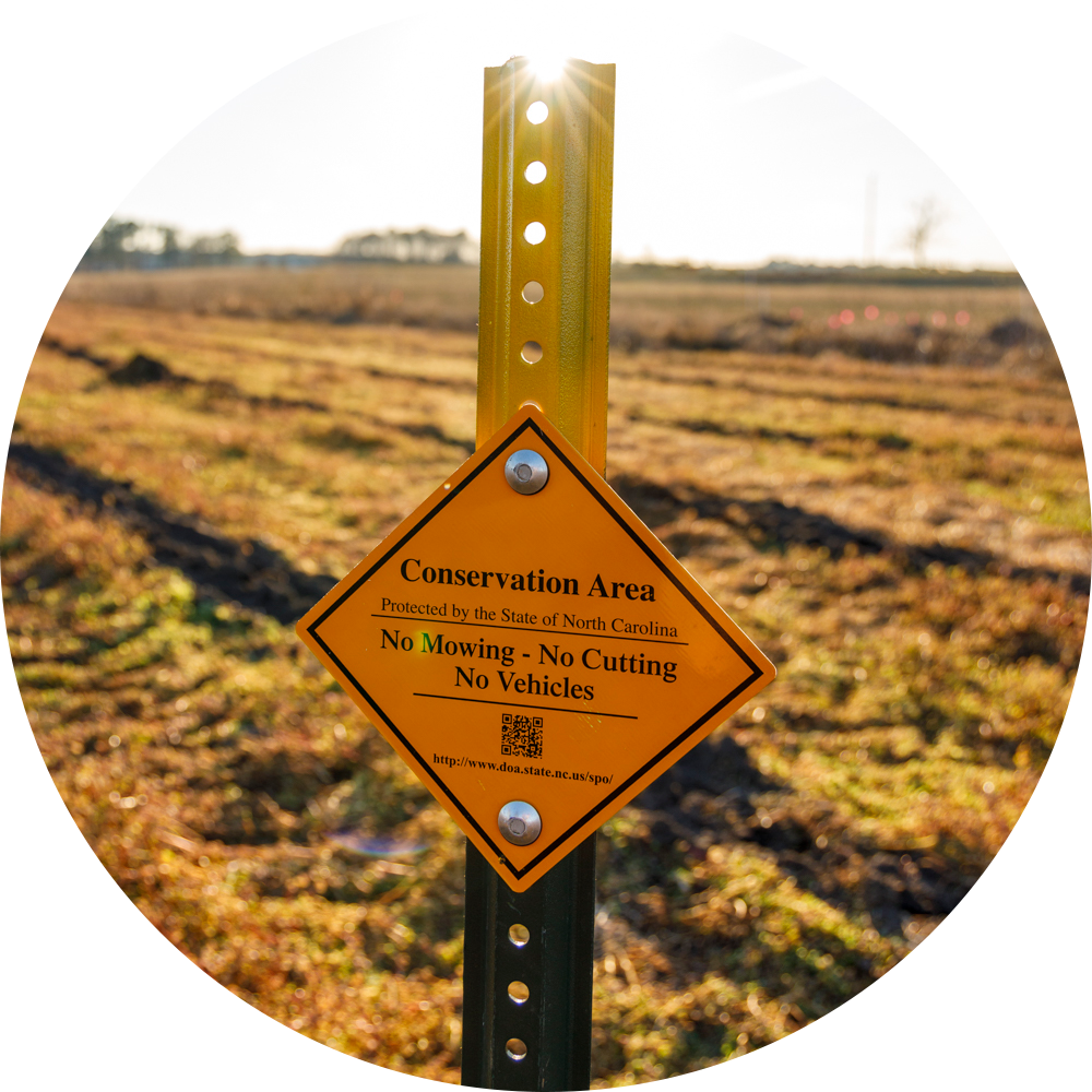 Eco Terra - About Us